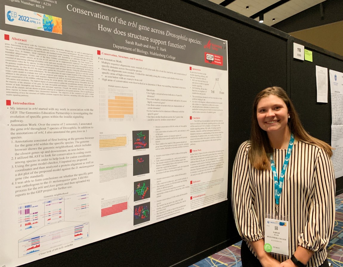 2022: Student Research: Posters & Presentations | Muhlenberg College