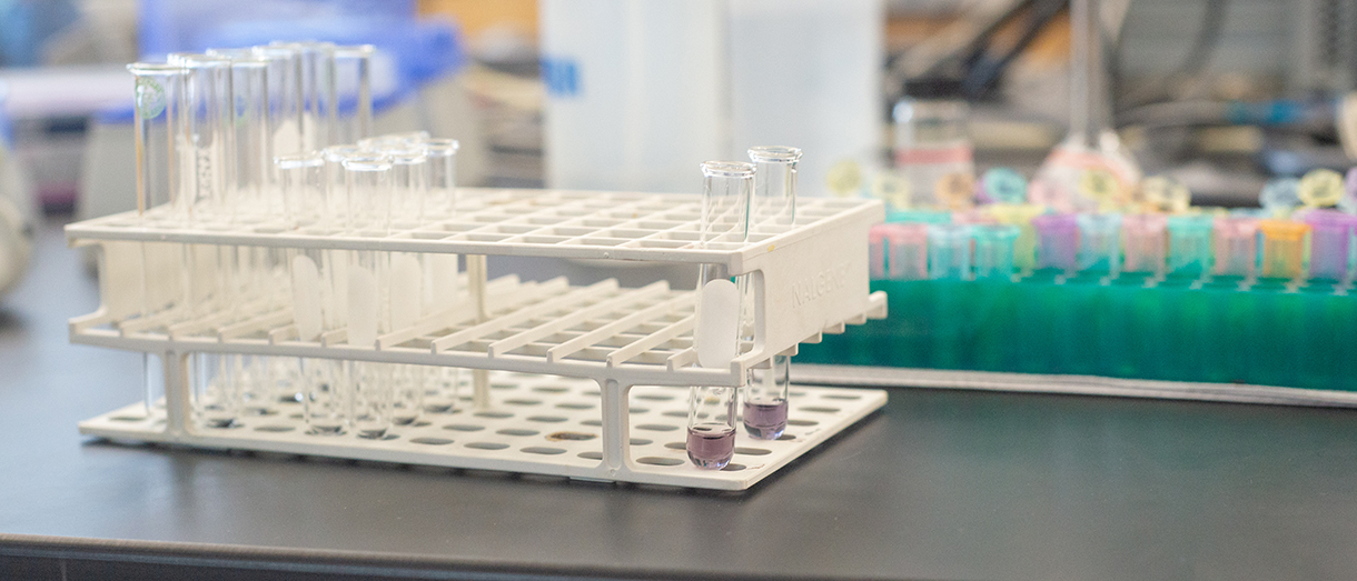 Advanced Biochemistry | Muhlenberg College